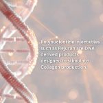 The Best Biostimulatory Injectables For Collagen Stimulation - Dr Davin Lim